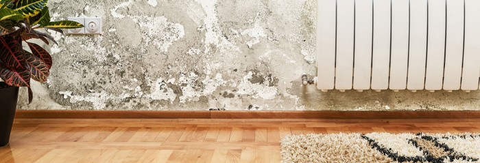 Home - Mandell Environmental